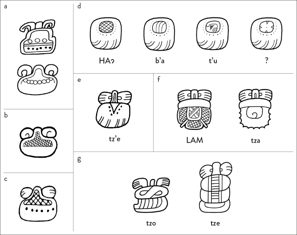 Boletín del Museo Chileno de Arte Precolombino