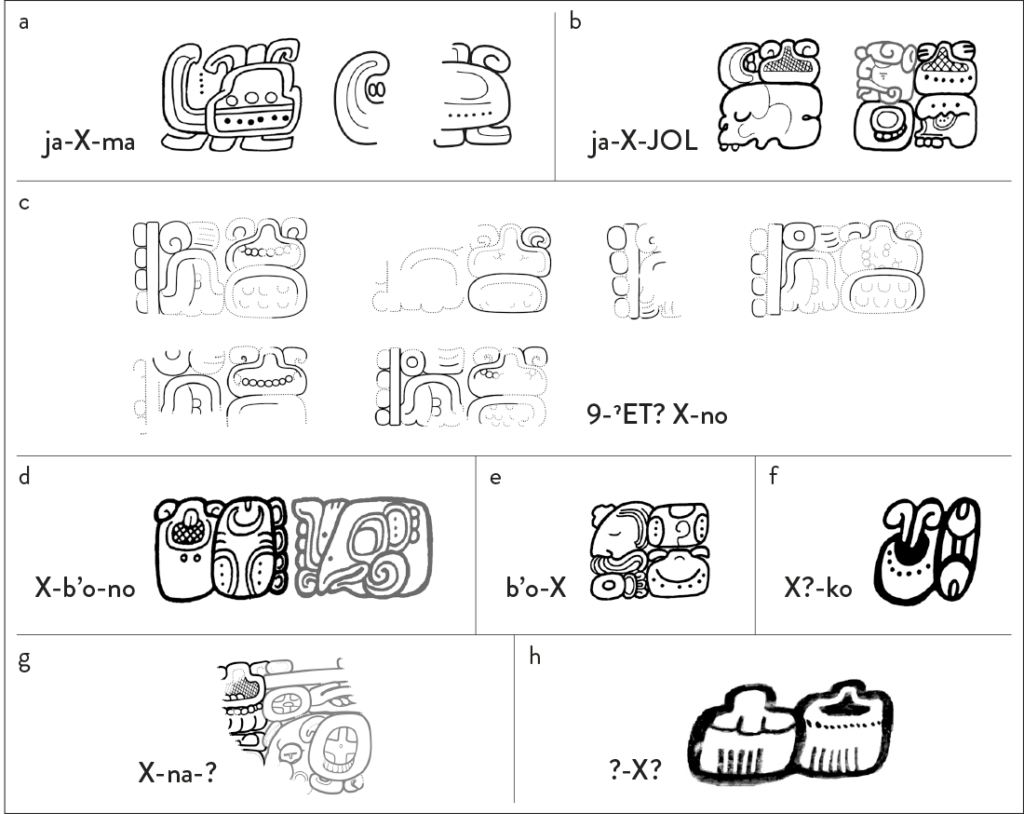 Boletín del Museo Chileno de Arte Precolombino